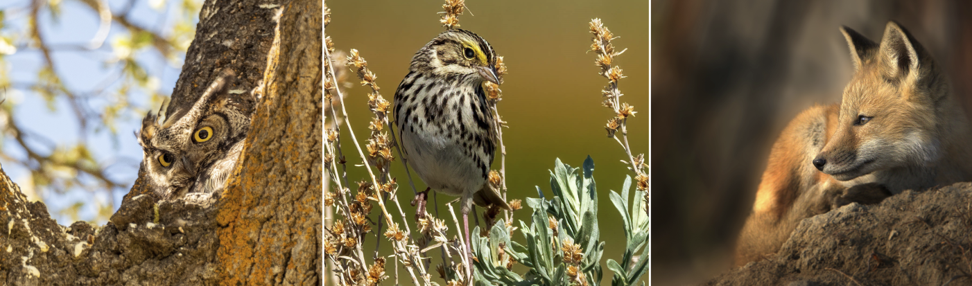 Contacts - Middle Truckee River Watershed Forest Partnership